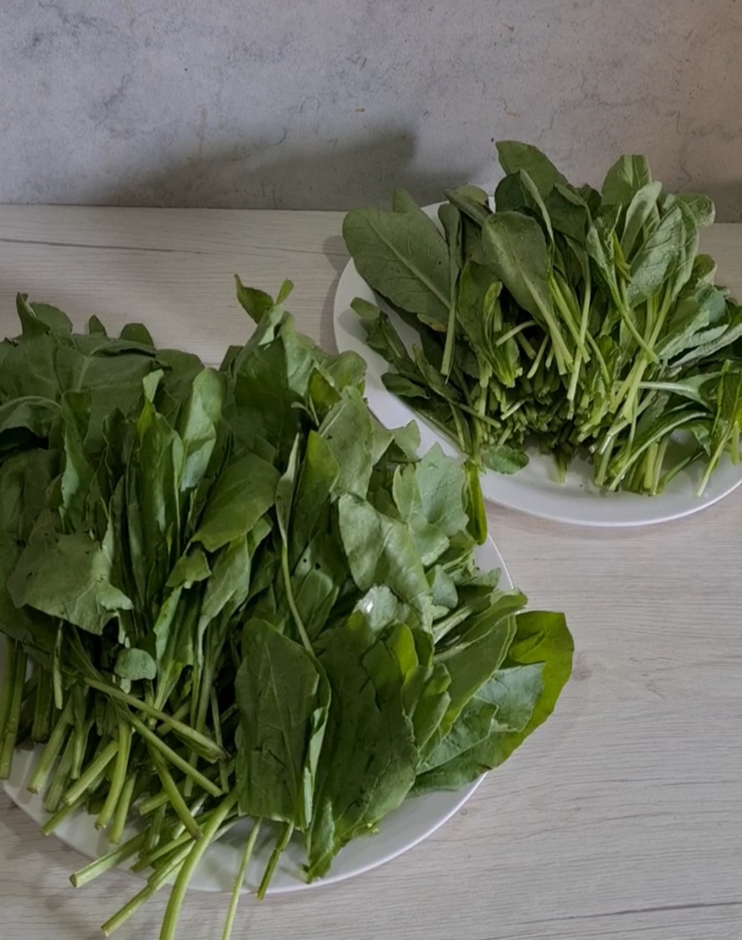 Palak Mooli Saag Spinach And Radish Greens Sabzi Vanitas Corner